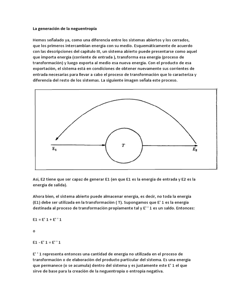 La Generación de La Neguentropía | Entropía | Economías