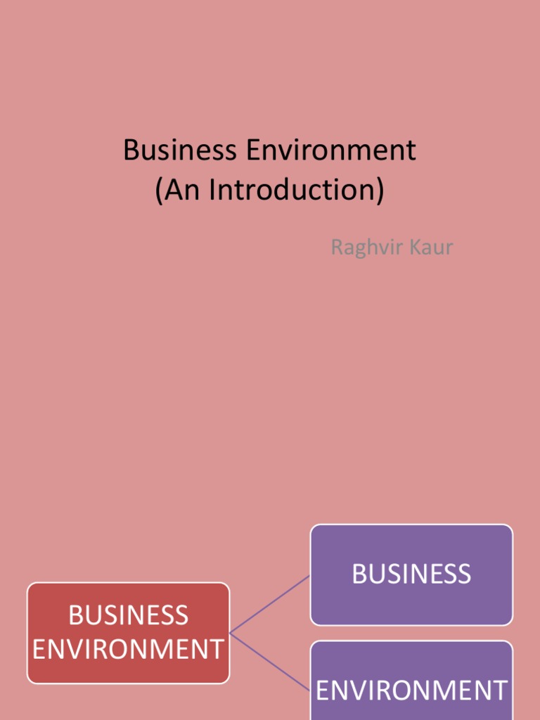 BUSINESS ENVIRONMENT INTRODUCTION | PDF | Supply Chain | Competition