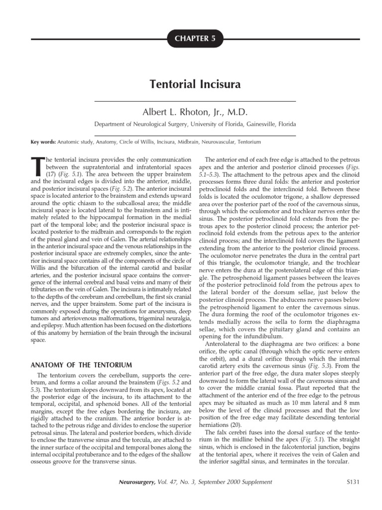 Tentorial Incisura | Anatomical Terms Of Location | Brainstem