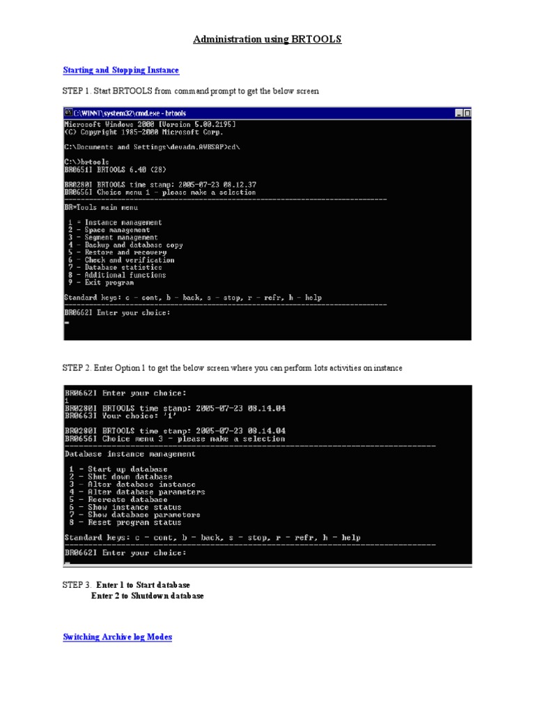 BRTOOLS Administration Guide | PDF