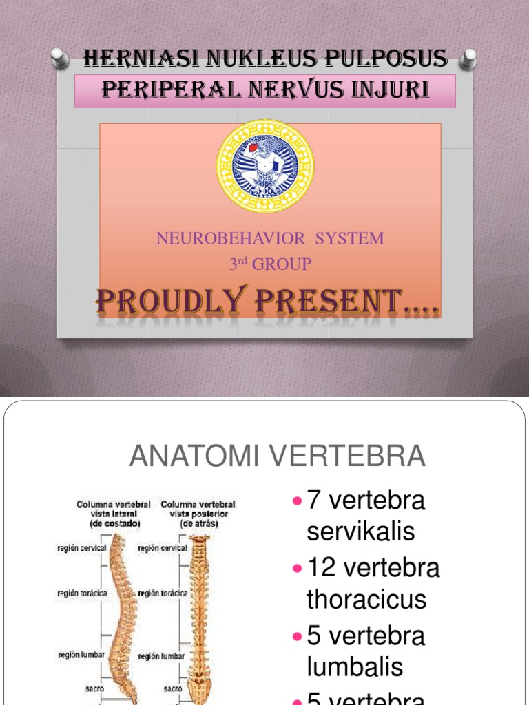 Herniasi Nukleus Pulposus Periperal Nervus Injuri: Neurobehavior System 3 Group | PDF