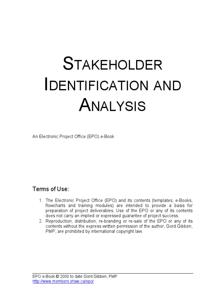 Stakeholder Identification and Analysis | PDF | Stakeholder (Corporate ...