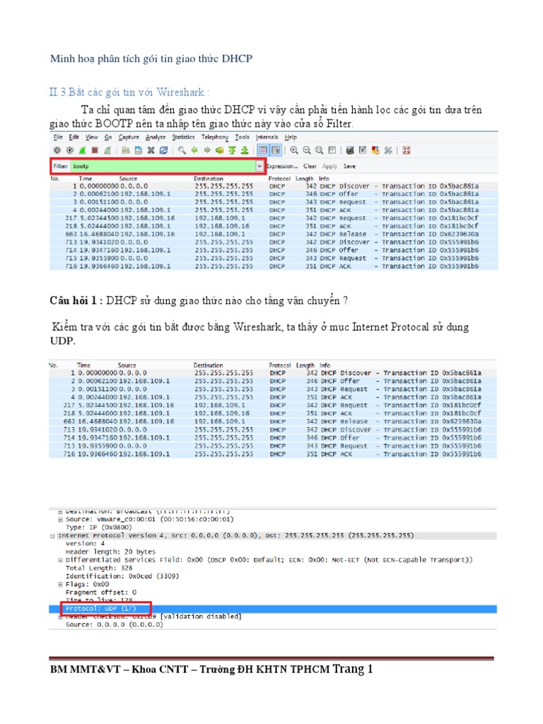 Minh Hoa Phan Tich Goi Tin - DHCP | PDF