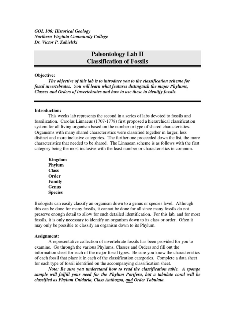 Fossil Classification Lab Overview | PDF | Sponge | Taxonomy (Biology)