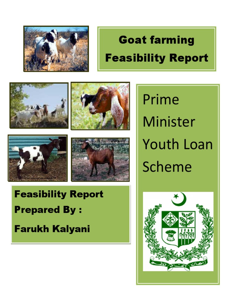 Final Report of Goat Farming | Livestock | Sheep