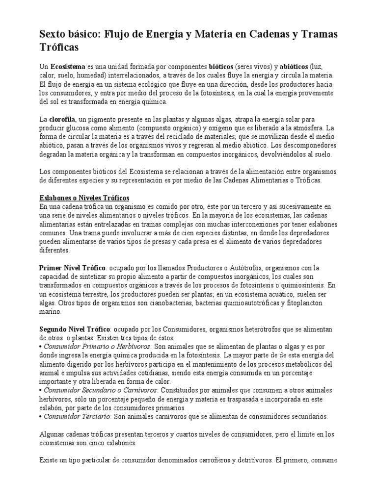 Flujo de Energía y Materia en Cadenas y Tramas Tróficas | PDF ...