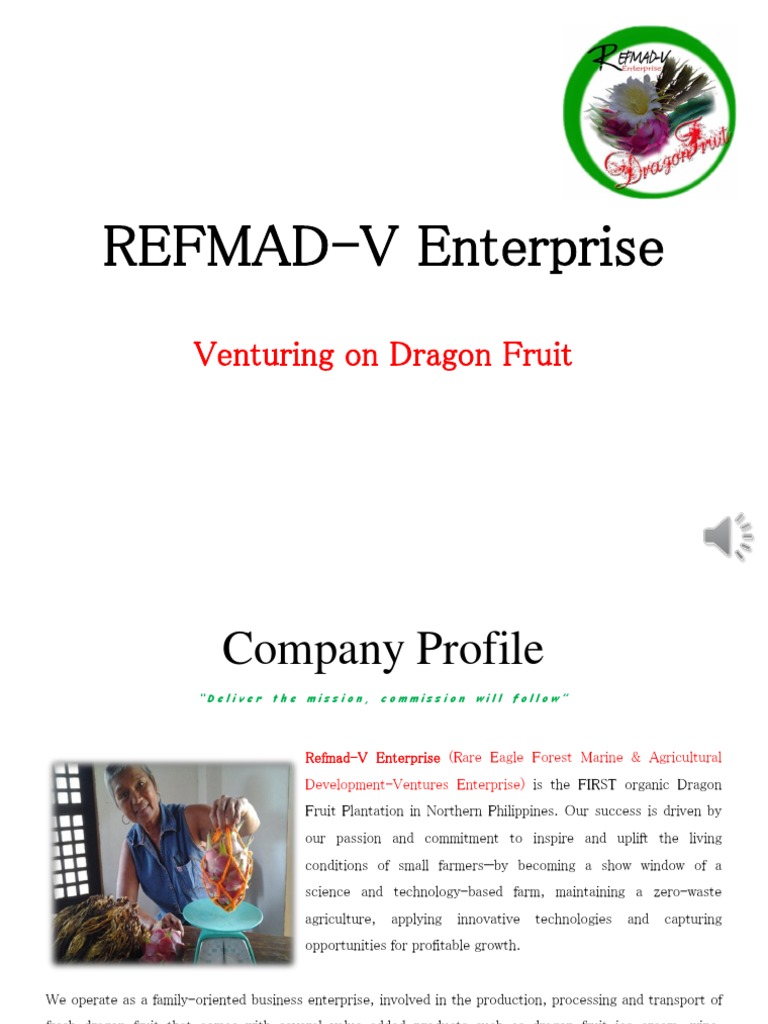 REFMAD-V Enterprise Ilocos Norte | PDF | Agriculture | Economies