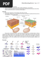 Bacterial ID Flowchart | PDF | Streptococcus | Staphylococcus