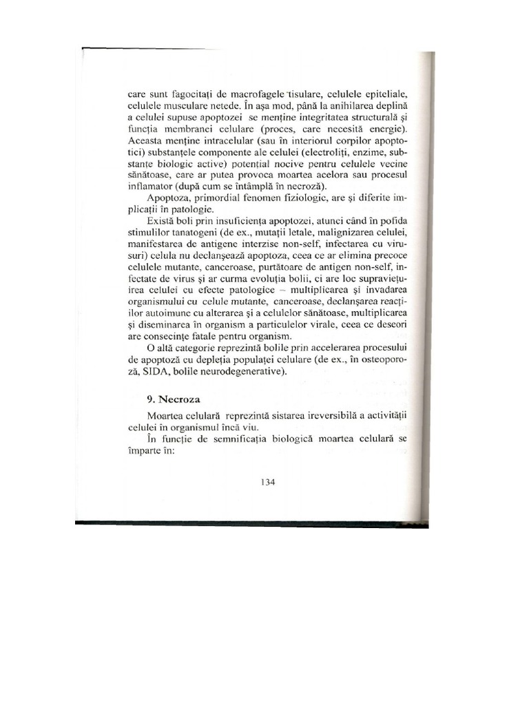9 Necroza | PDF