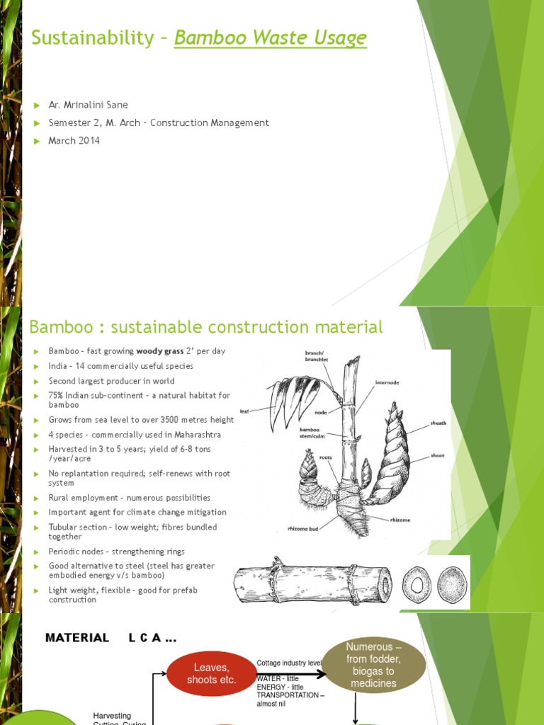 Bamboo - Waste | PDF | Bamboo | Sustainability