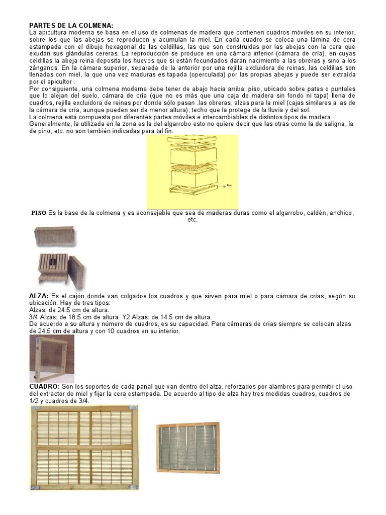 Partes de La Colmena | PDF | Apicultura | Colmena