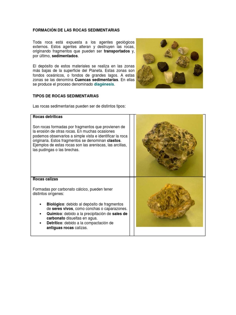 Formación de Las Rocas Sedimentarias ... Descripcion de Las Rocas | PDF ...
