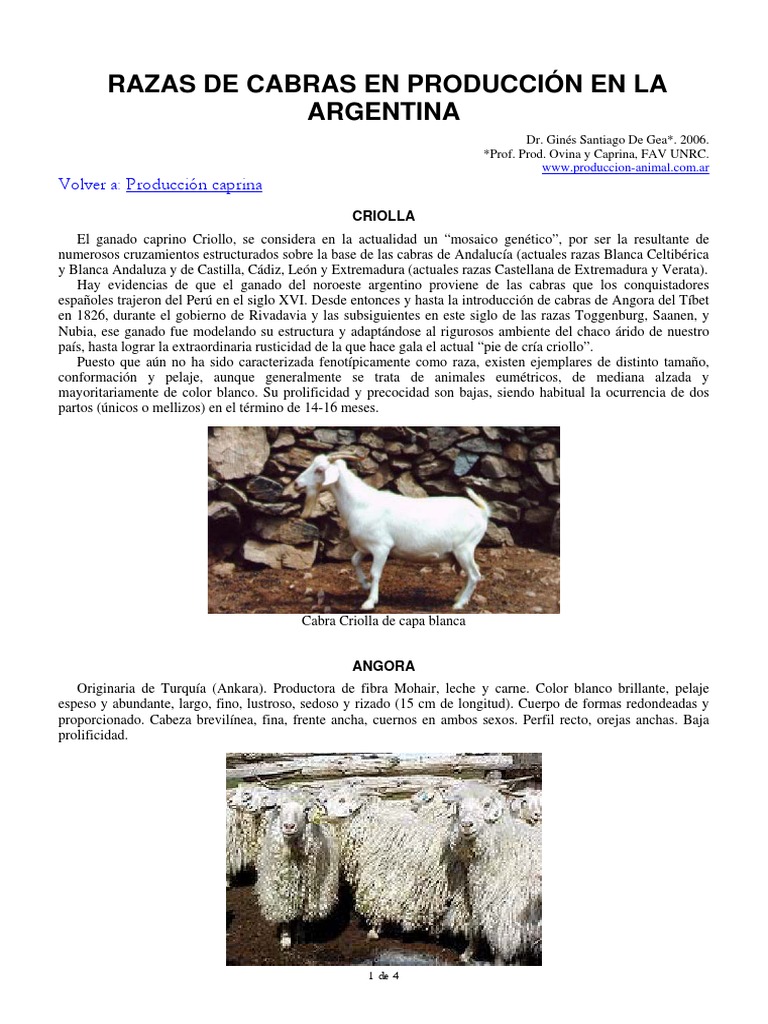 33-Razas Cabras | PDF