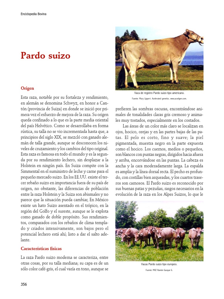 Pardo Suizo | PDF