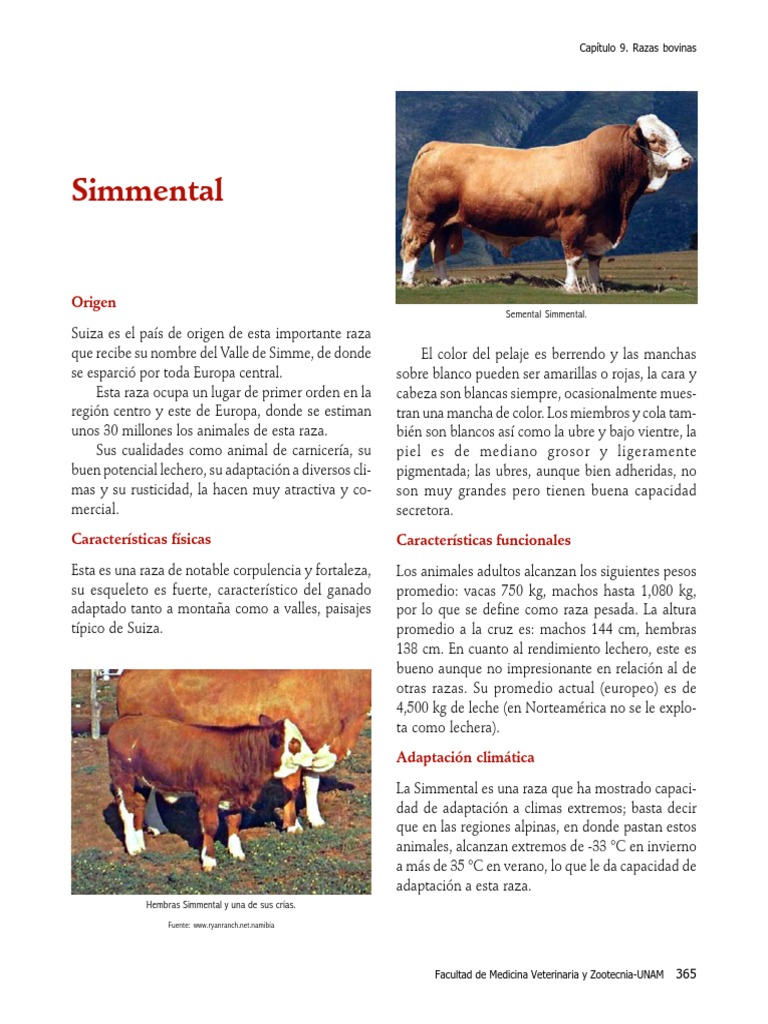 Simmental | PDF | Hogar, jardinería y bricolaje
