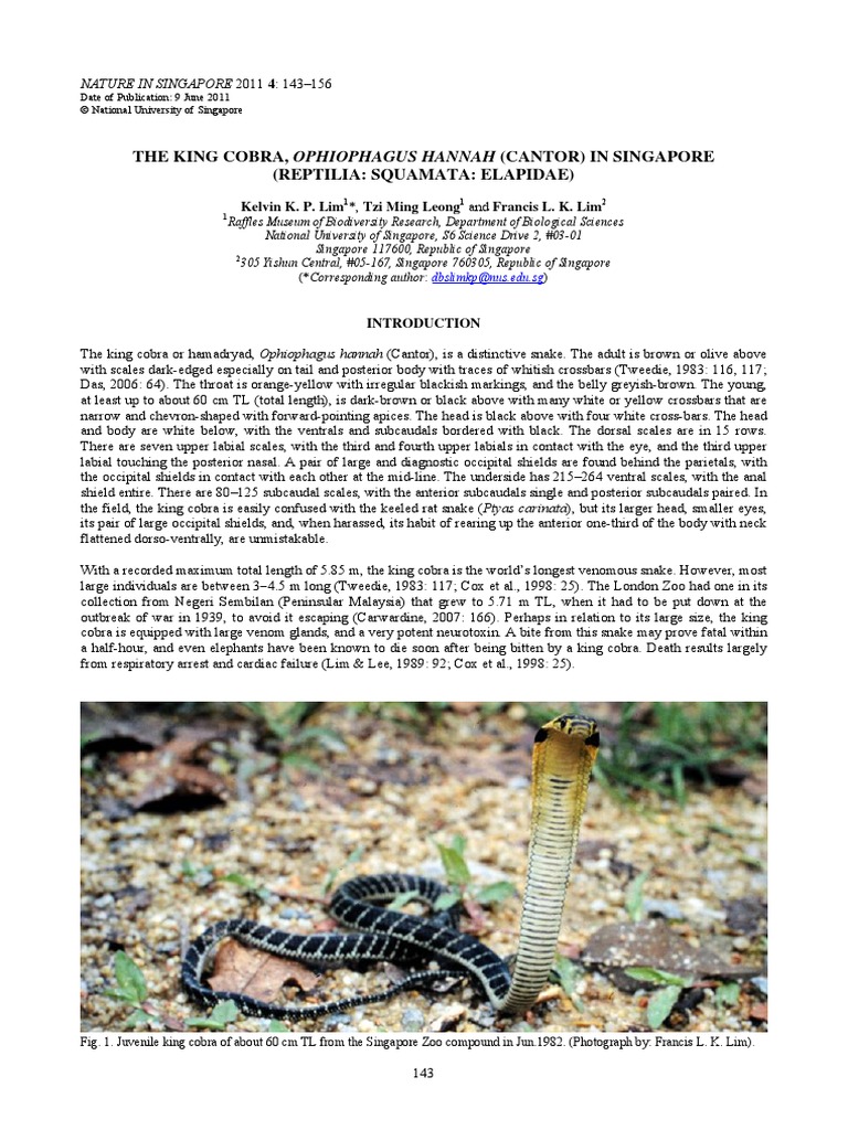 Cobrasnakes at Rifle Range Road | PDF | Nature