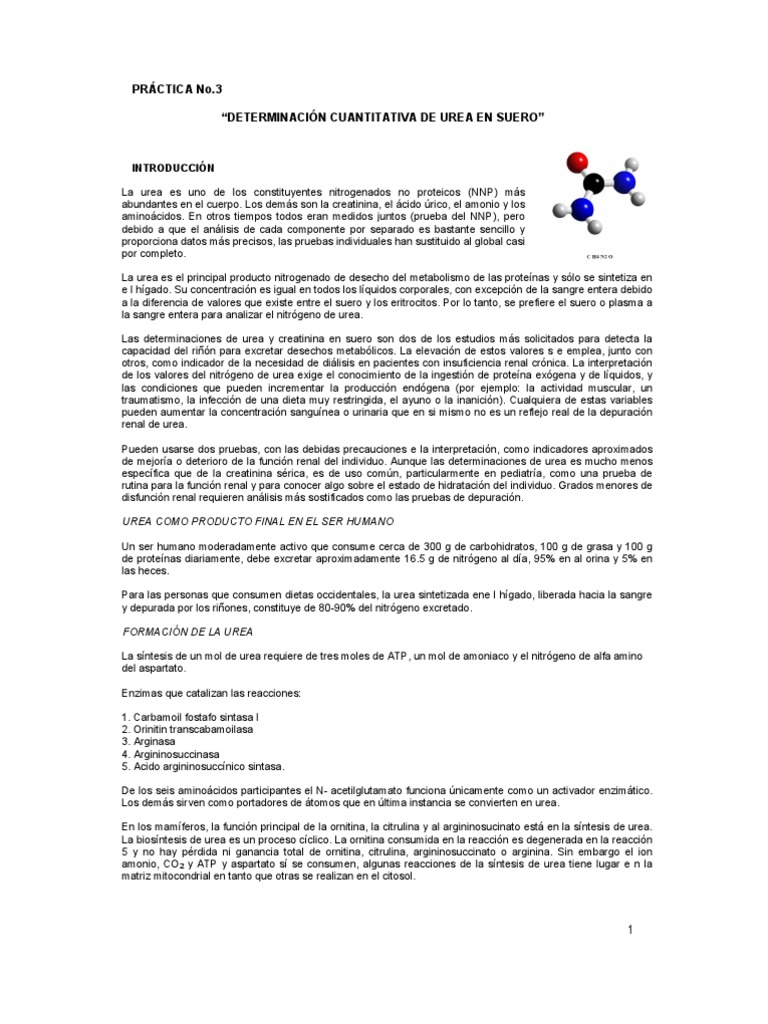 Determinacion Cuantitativa de Urea en Suero | PDF | Proteínas ...
