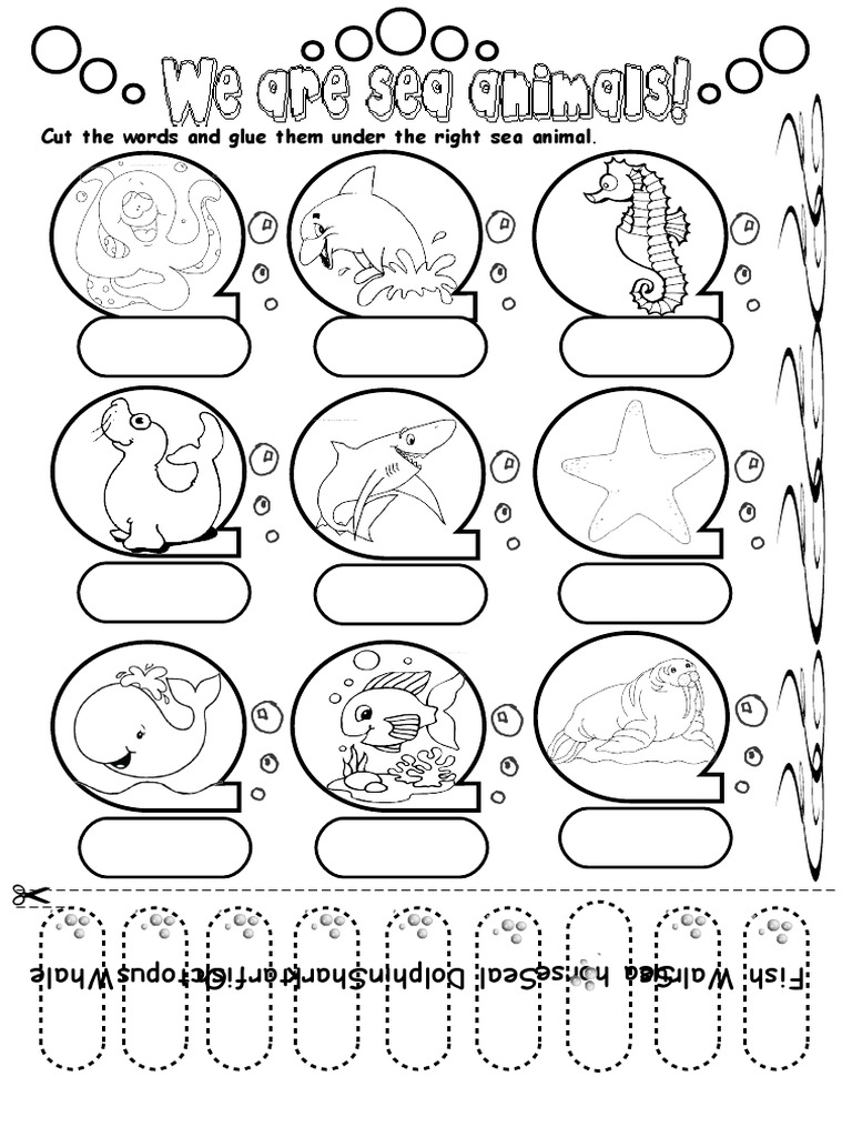 Sea Animal Word Matching Activity | PDF | Language Arts & Discipline ...