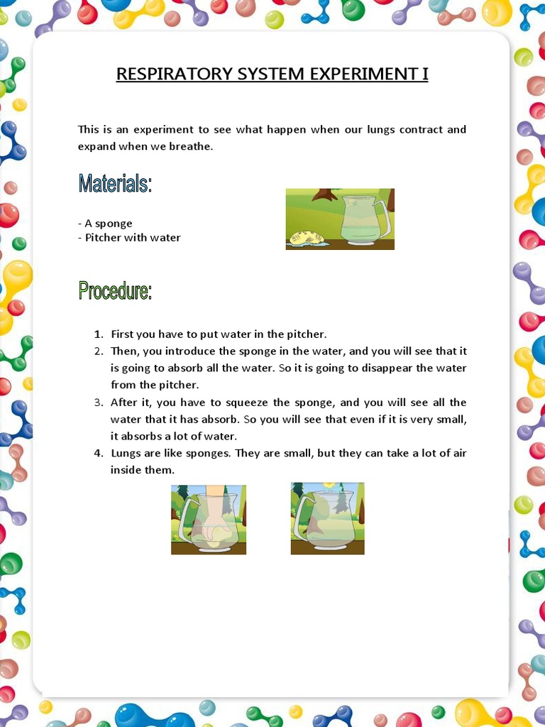 Respiratory System Experiment I | PDF