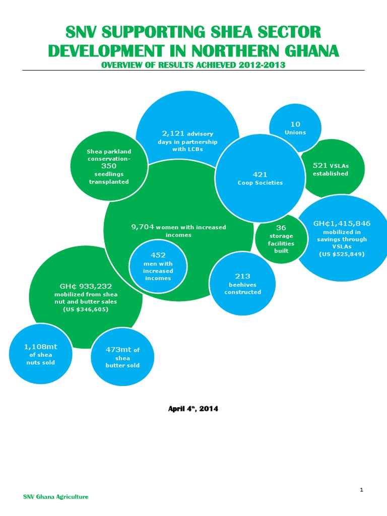 SNV Ghana Shea Sector Development Report | PDF | Cooperative | Value Chain