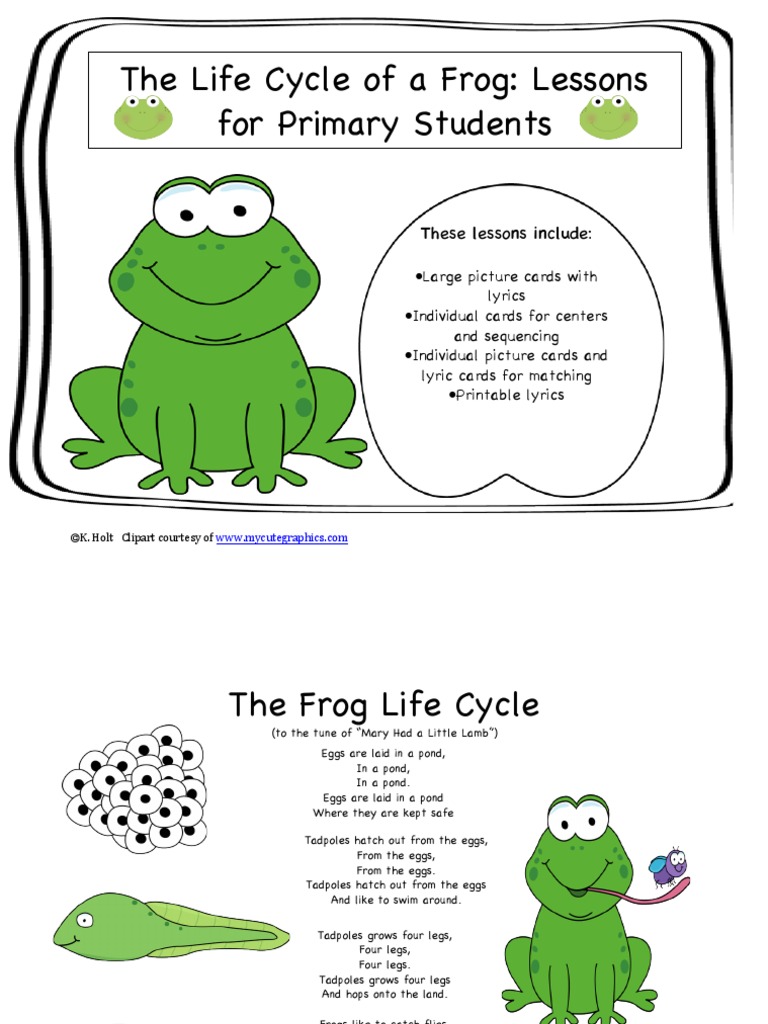 Lifecycle of A Frog For Primary Students | PDF | Frog | Amphibian