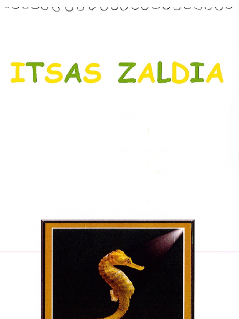 Itsas Zaldia | PDF