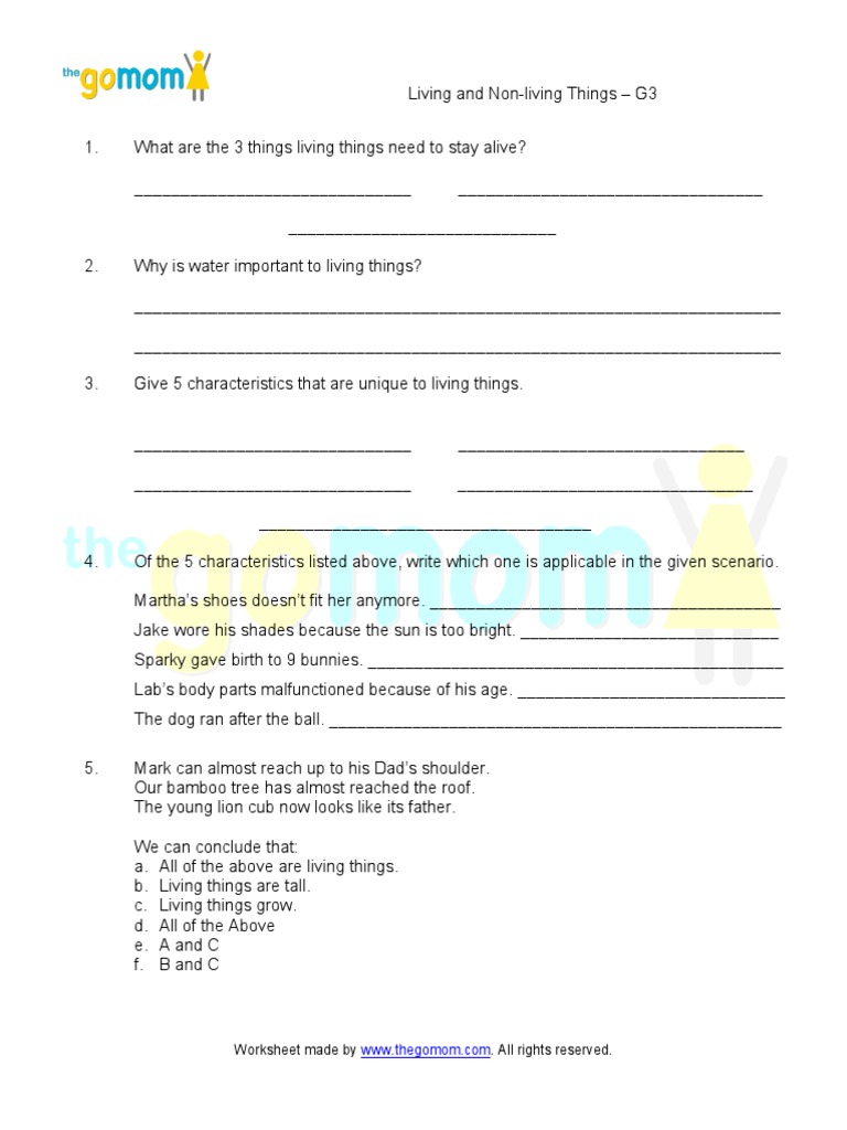 Living vs Non-living: Grade 3 Worksheet | PDF