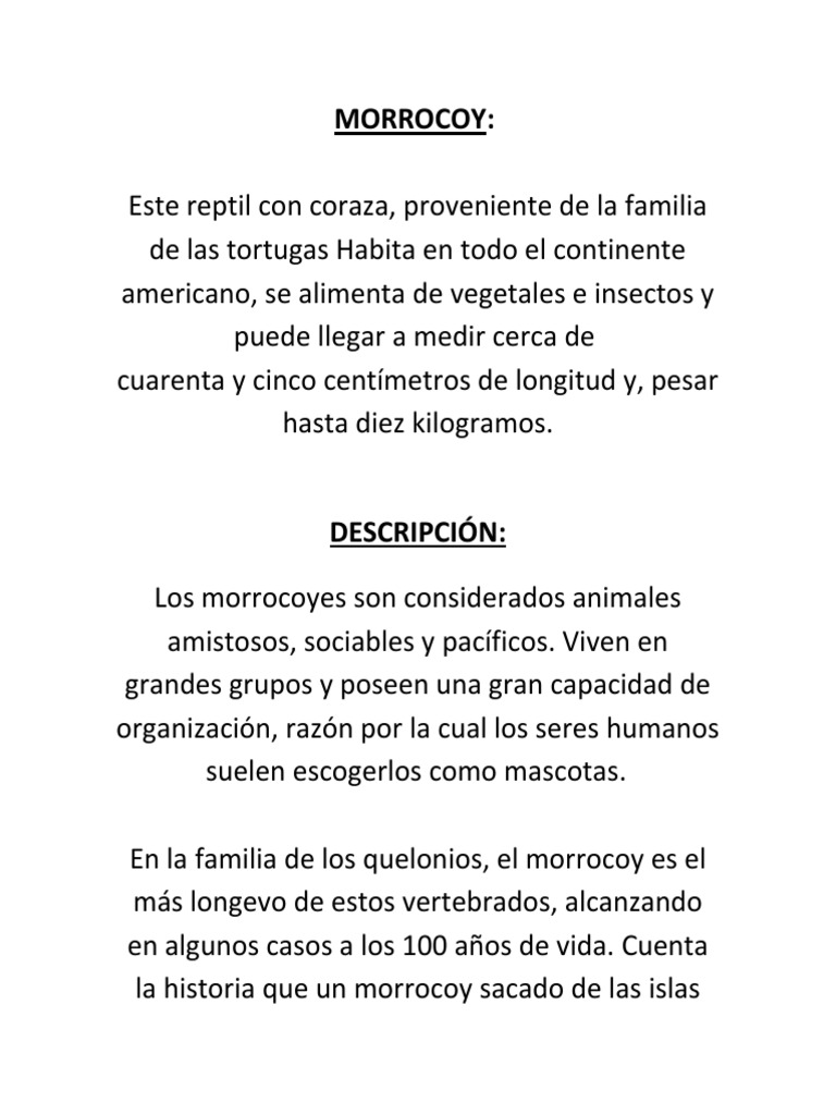 El Morrocoy Animal | PDF | Tortuga | Venezuela