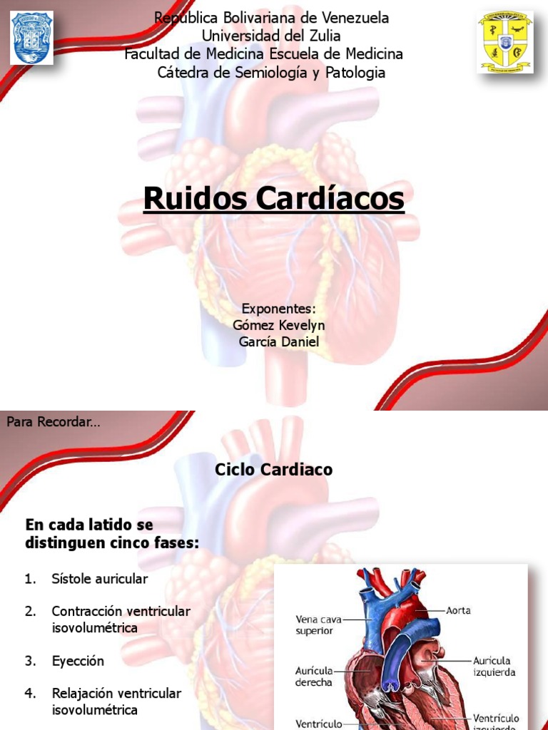 Ruidos Cardiacos | Ventrículo (corazón) | Corazón