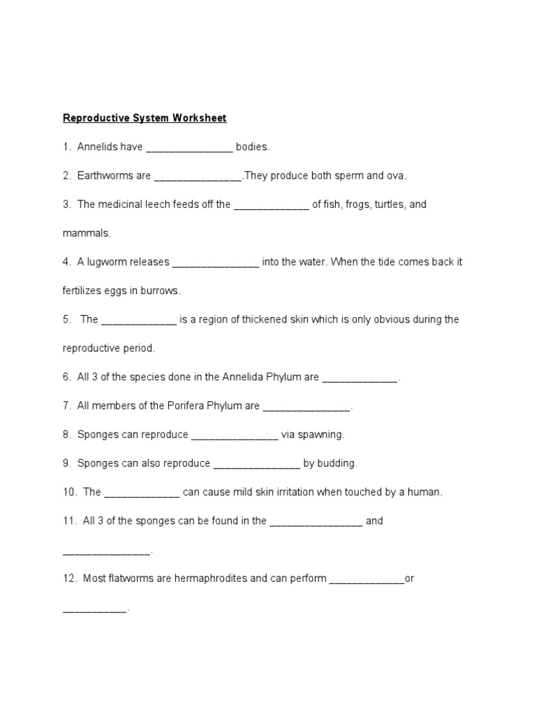 Annelida and Porifera Reproductive Worksheet | PDF | Reproduction ...