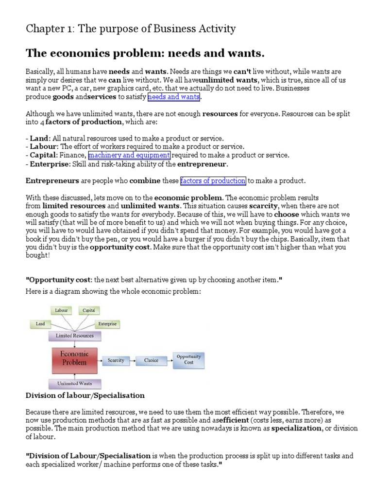 Understanding Business Activity Basics | PDF | Business