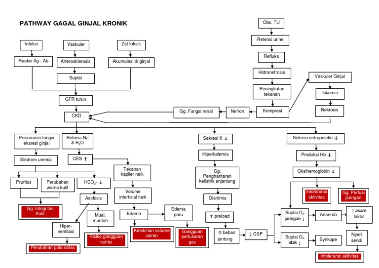 Pathway Gagal Ginjal Kronik