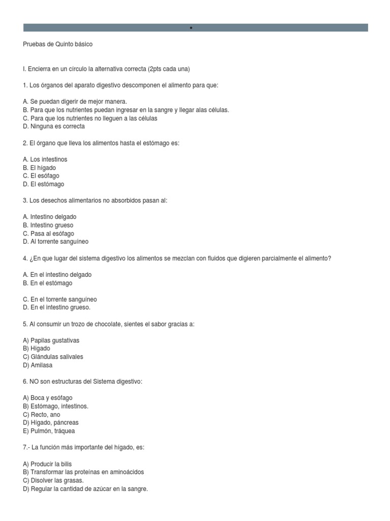 Prueba Sistema Digestivo 5 Basico | PDF | Digestión | Sistema digestivo ... Prueba Sistema Digestivo 5 Basico | PDF | Digestión | Sistema digestivo ...