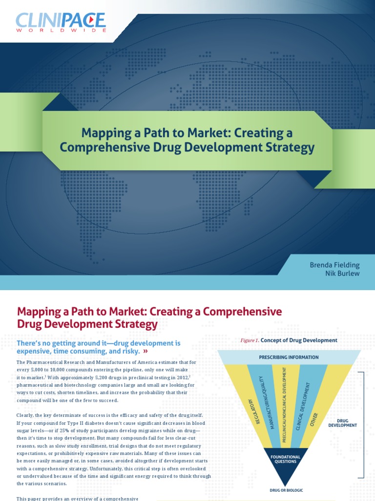 Mapping A Path To Market: Creating A Comprehensive Drug Development ...