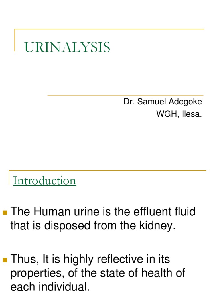 URINALYSIS Power Point Presentation | PDF | Urine | Medical Specialties