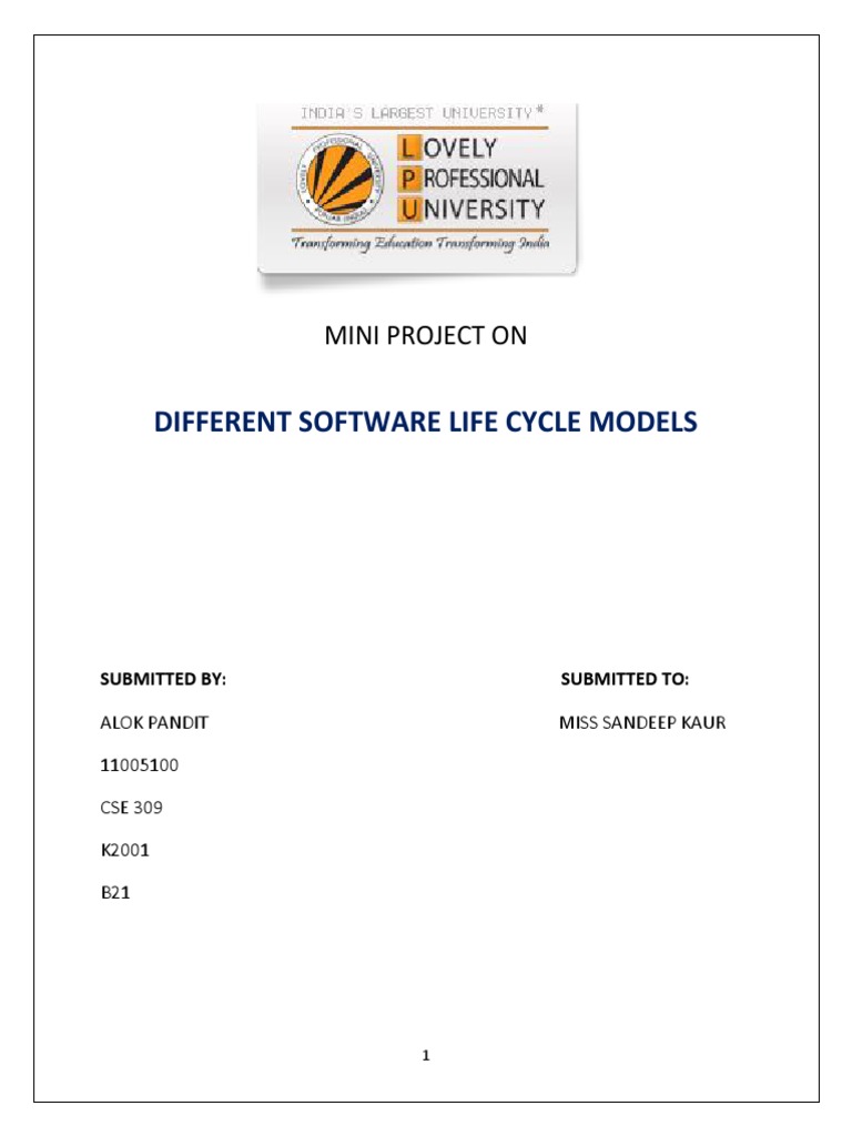 Different Software Life Cycle Models: Mini Project On | PDF | Software ...