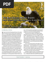 Bald Eagle Management Guidelines 2007 | PDF | Bald Eagle | Endangered ...