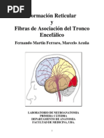 El Colículo Superior | PDF | Anatomía humana | Neurociencia