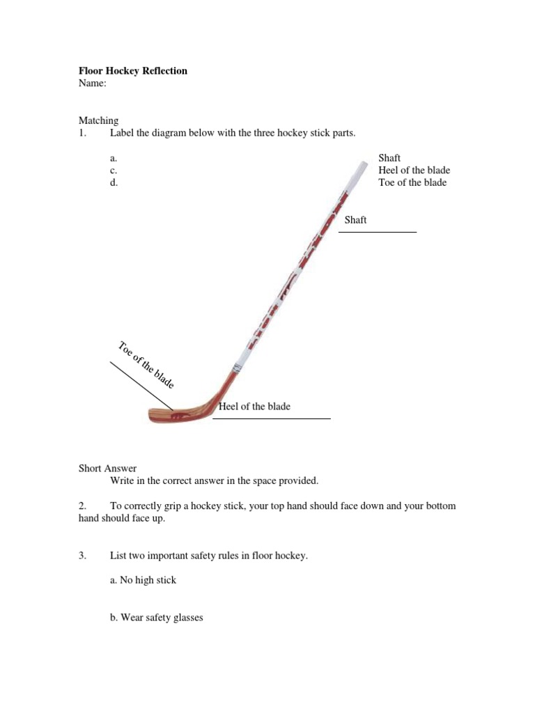 Floor Hockey Skills and Safety Guide | PDF