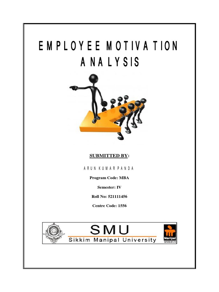 Employee Motivation Analysis | PDF | Motivation | Motivational