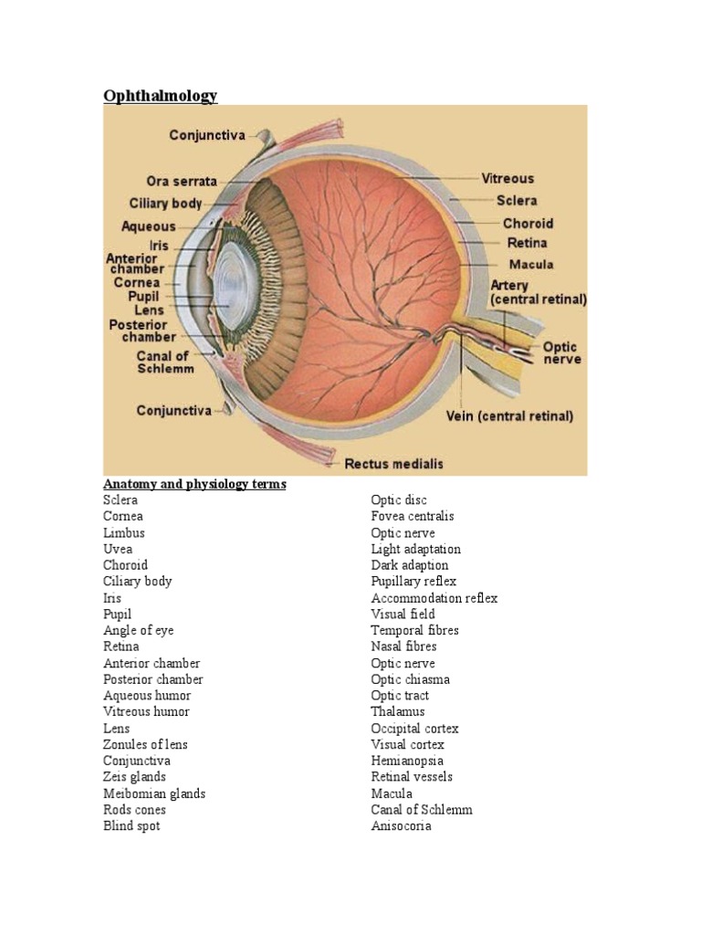 Ophthalmology | Human Eye | Facial Features
