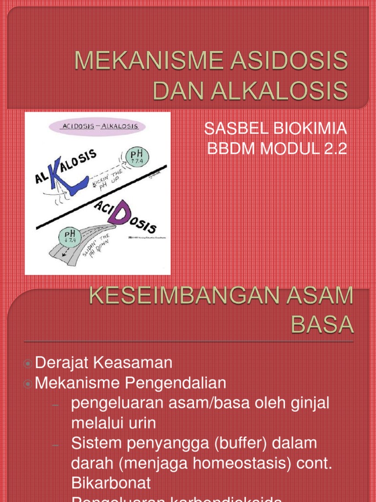 Mekanisme Asidosis Dan Alkalosis | PDF