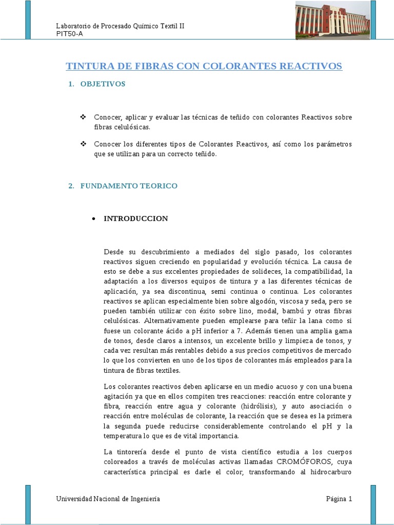 Tintura de Fibras Con Colorantes Reactivos | PDF | sal | Química