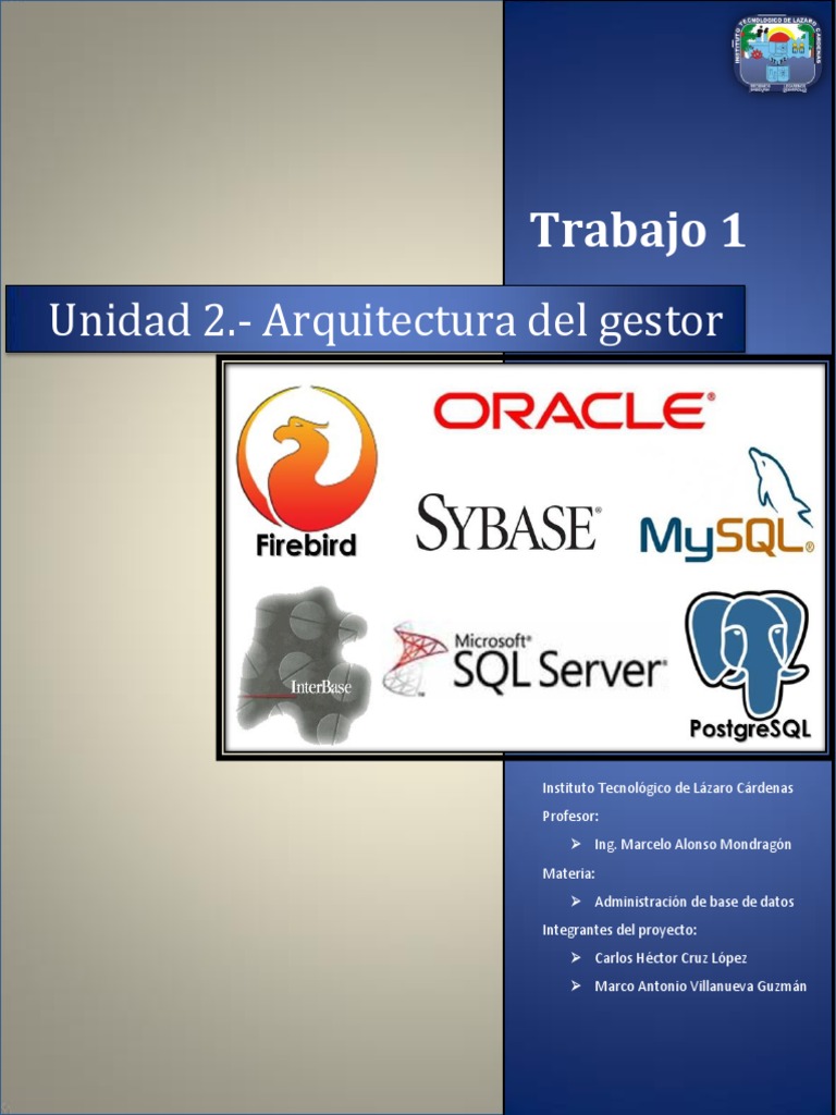 Arquitectura de Oracle Database 11g | PDF | Base de datos Oracle | Bases de datos