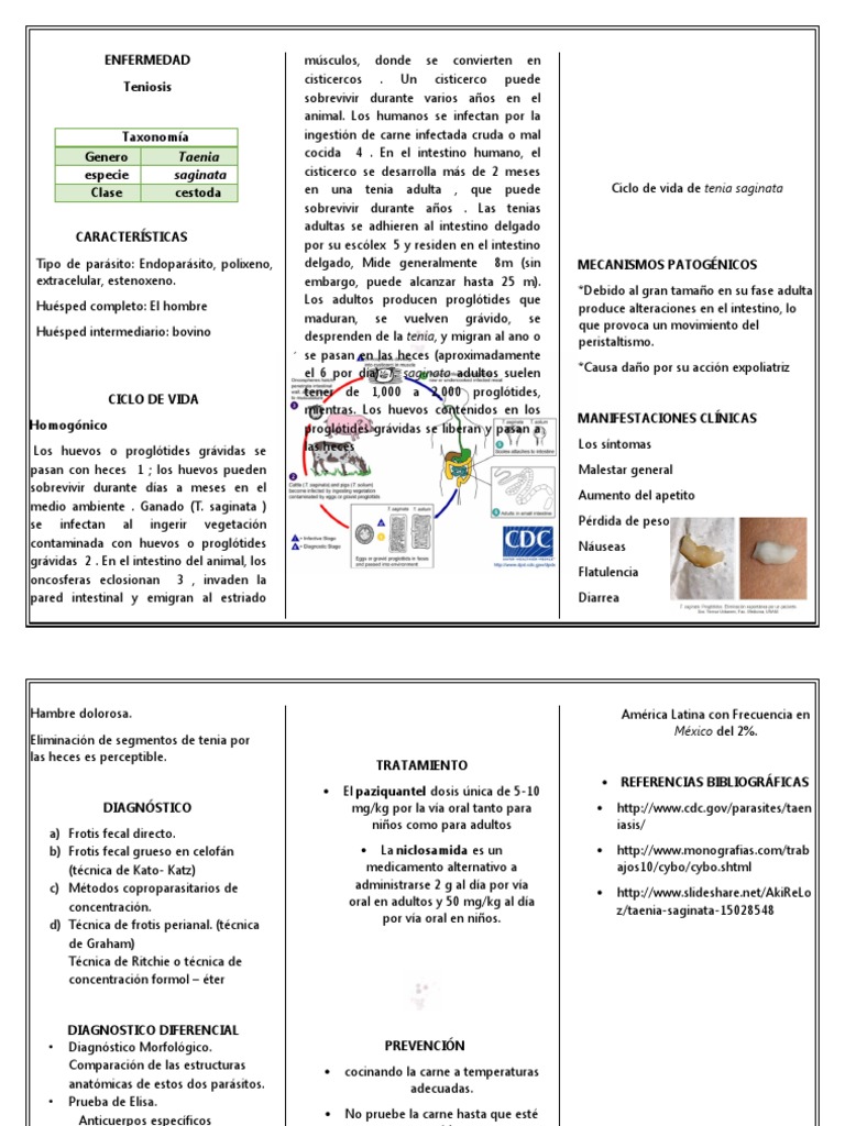 Triptico T. Saginata | PDF | Especialidades Medicas | Enfermedades y trastornos