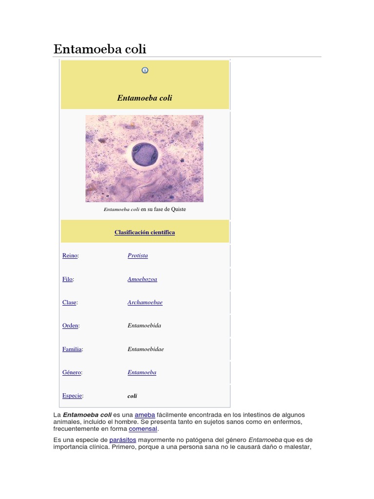 Entamoeba Coli | Ciencias de la tierra y de la vida | Biología