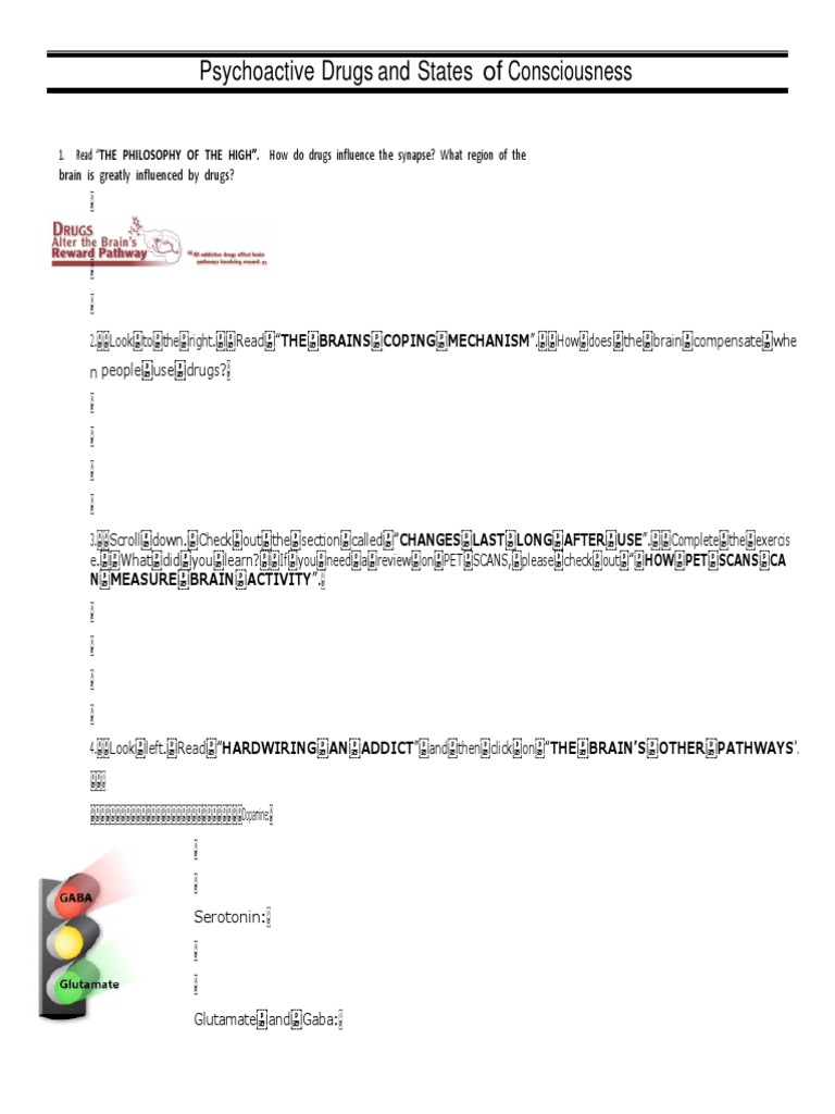Worksheet For Mouse Party Activity | PDF | Mdma | Psychoactive Drugs