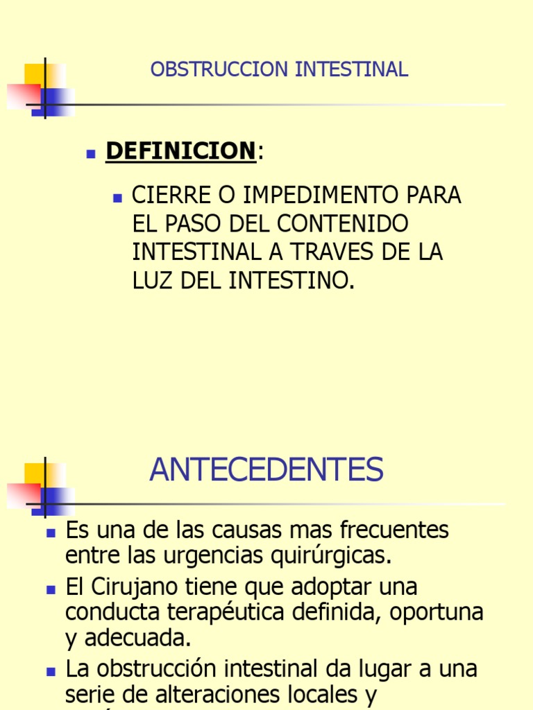 Obstruccion Intestinal | PDF | Intestino delgado | Abdomen