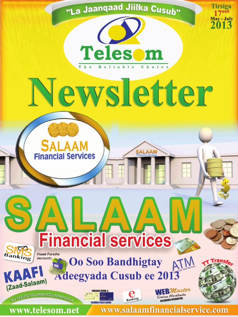 Telesom Newsletter Issue 17 - July 2013 | PDF | Service Companies ...