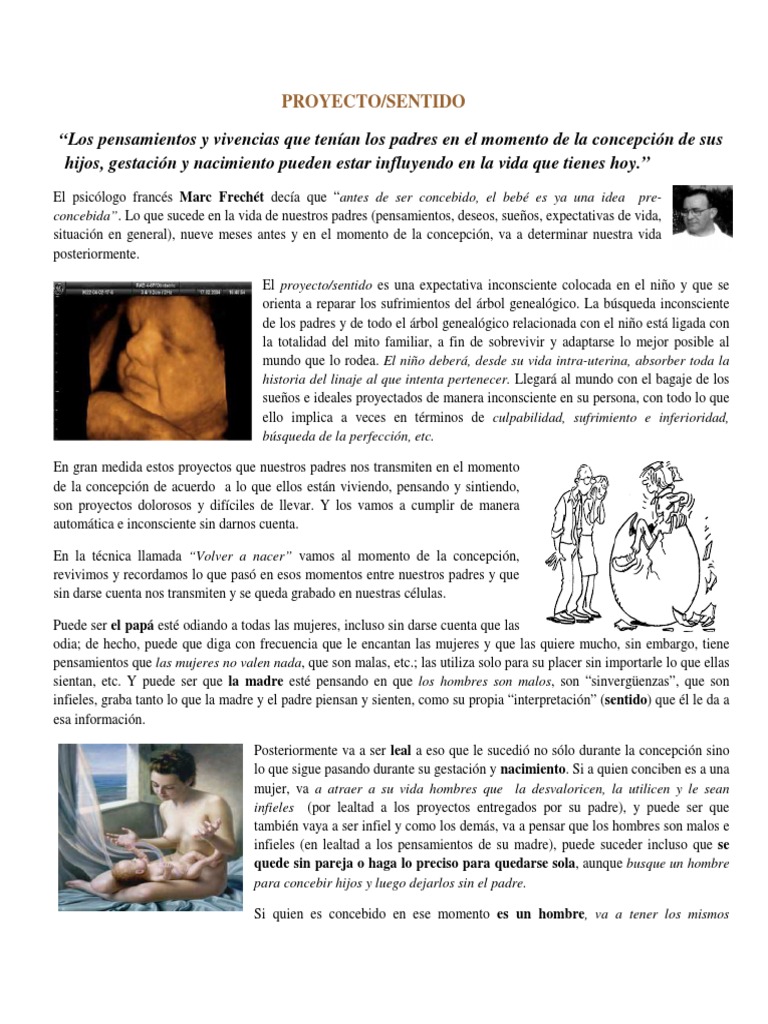 Marc Frechet Proyecto Sentido PDF | PDF | Desorden hiperactivo y ...